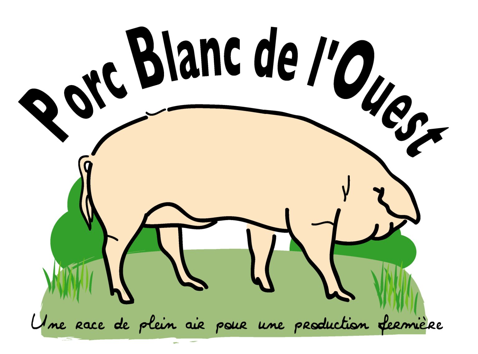 Le Porc plein air de l'Ouest de la France